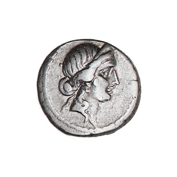 Greske og romerske mynter - Naturens Mangfold AS